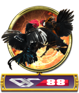 188Jili Casino: Play & Win | 188 Jili Slot Games